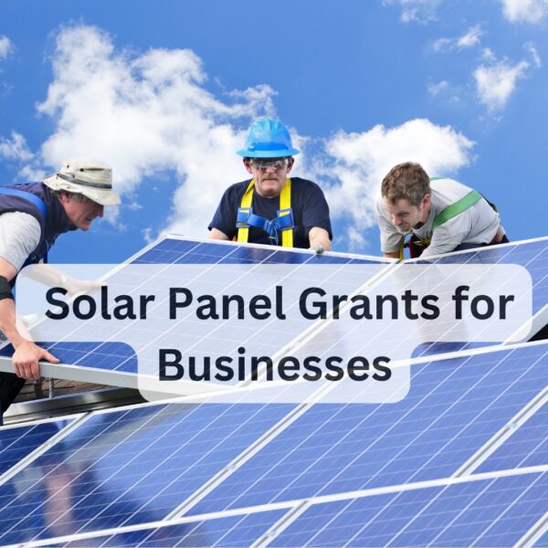 Solar Panel Grants for Businesses - Boosting Sustainability and Savings ...